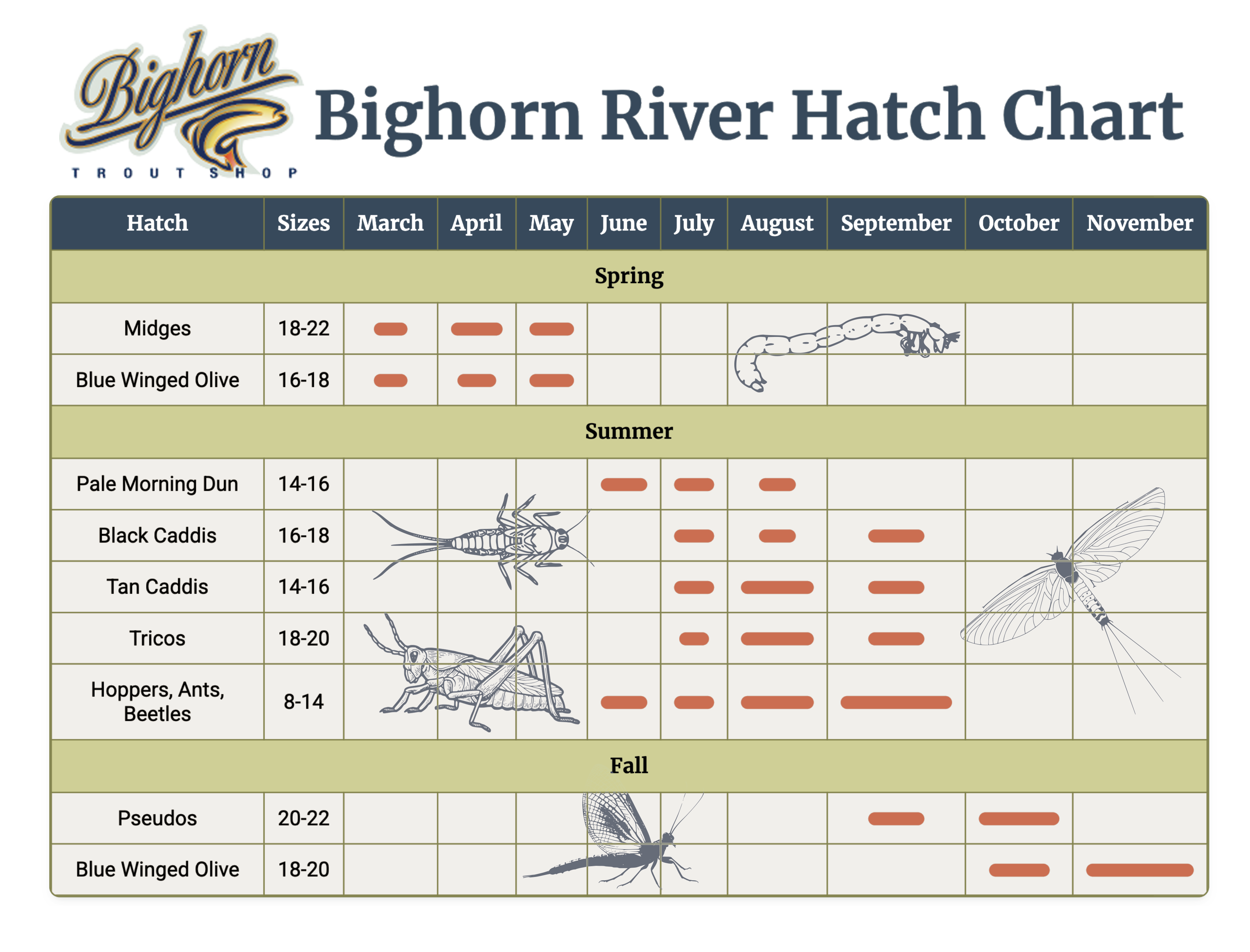 Bighorn River Fly Fishing hatch chart bighorn river information